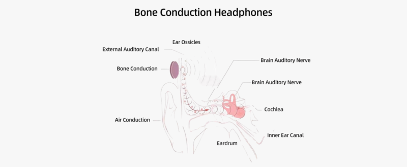 What Are Bone Conduction Headphones and How Do They Work? - Hafeez ...